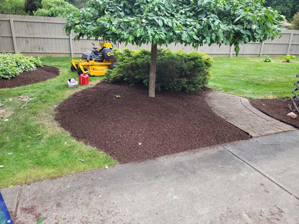 Gallery | Good Ole Boys Lawncare and Landscape